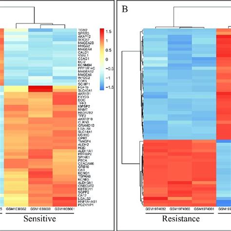 Hierarchical Clustering Heatmap Related To Overlapping DEGs Heatmap
