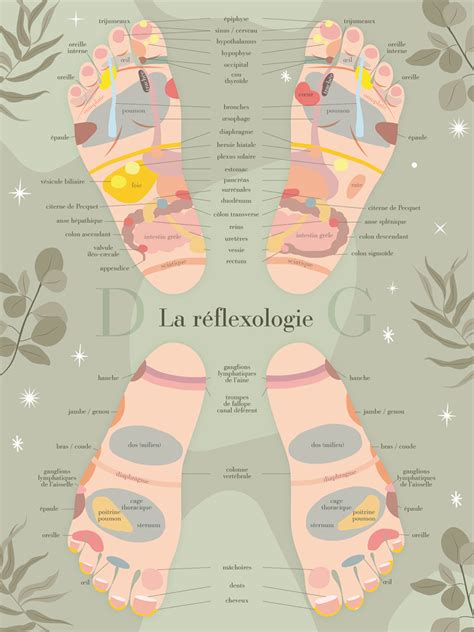 Poster Réflexologie Plantaire La boutique Méthode Bechacq