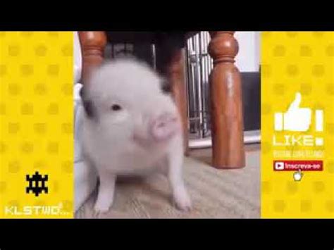 Tente não rir nivel hard YouTube