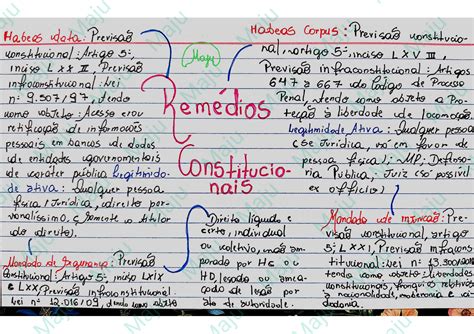 Resumos Maju Remedios Constitucionais Constitucional Direito