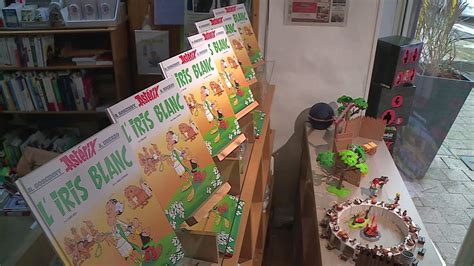 Astérix qui est Fabcaro le scénariste de L iris blanc le 40e