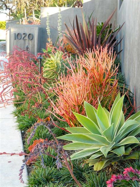25 ideas de jardines con paisajismo desértico GEOCAX