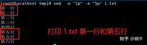 14：linux三剑客之sed 知乎