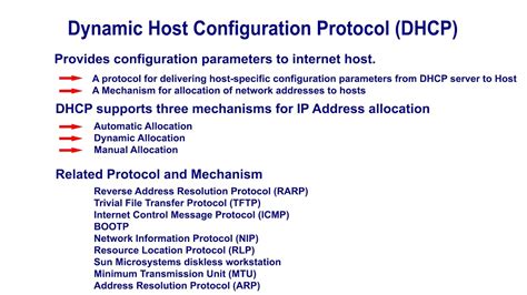 DHCP Dynamic Host Configuration Protocol YouTube