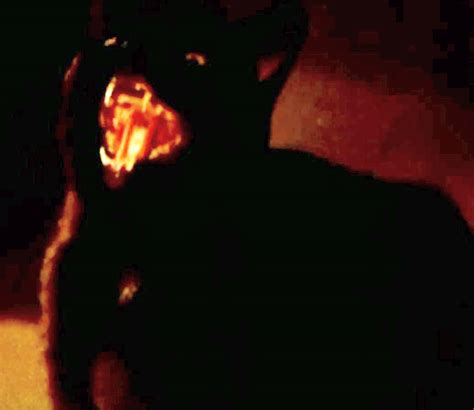 The Legend Of Hell House 1973