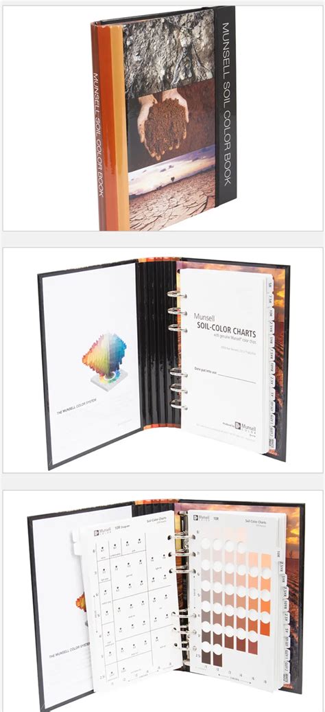 Munsell Color Chart Yr Cori Mares