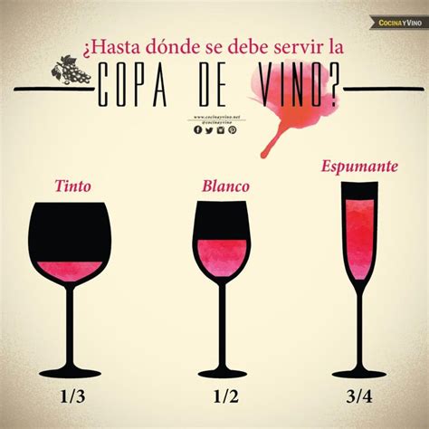 10 infografías sobre el vino que te van a interesar Copas de vino