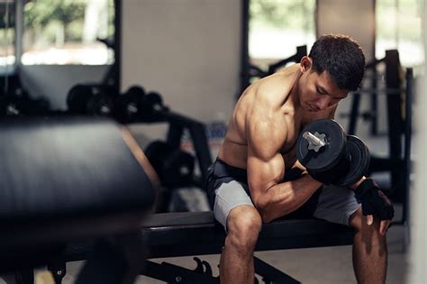 Muscle Hypertrophy A Beginner S Guide To Building Muscle