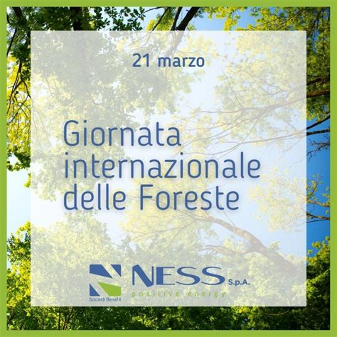 Giornata Internazionale Delle Foreste 2022 Ness Italia