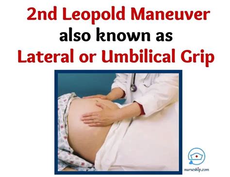 Leopold Maneuvers Steps Nurseship