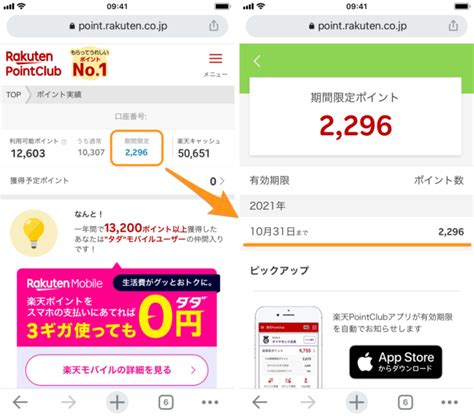 楽天の期間限定ポイントはいつまで使えるのか使用期限の確認方法 節約ハック