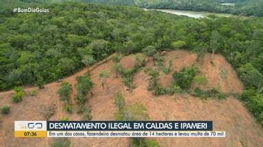 Bom Dia Go Fazendeiro Multado Por Desmatamento Ilegal Em Ipameri