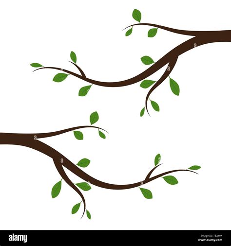 Tree Branch With Green Leaves Vector Illustration Abstract Branch