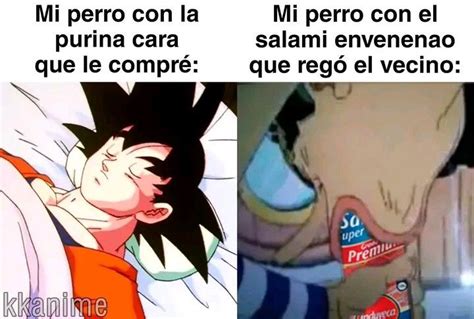 Comiendo El Pan Con Moho Que Encontr En El Basurero En Im Genes