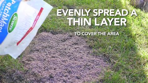 Scotts PatchMaster Lawn Repair Mix Southern Gold Mix For Tall Fescue
