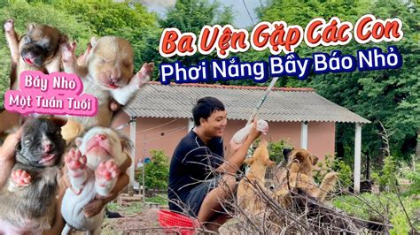 Ba Vện Rón Rén Để Được Gặp Các Con Những Gương Mặt Nhỏ Một Tuần Tuổi