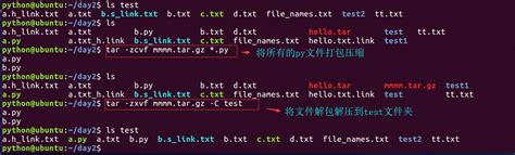 linux基础知识（二） little five 博客园