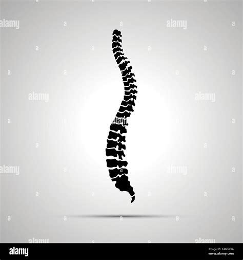 Detailed Human Spine Simple Black Icon Stock Vector Image Art Alamy
