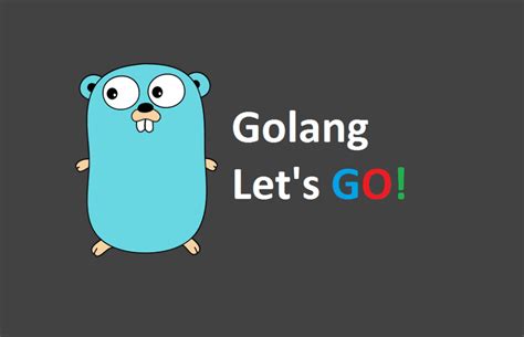 golang 基础之json数据操作 知乎