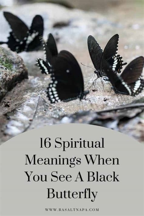 16 Spiritual Meanings When You See A Black Butterfly