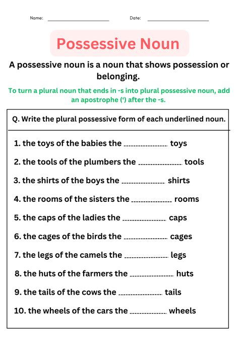 Possessive Nouns Worksheets With Answers Digital And Printable For