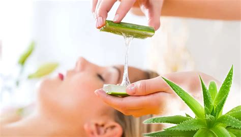Qué Es La Sábila Usos Y Beneficios Aloe Vera