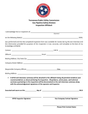 Fillable Online Inspection Affidavit 2019 Doc Fax Email Print PdfFiller