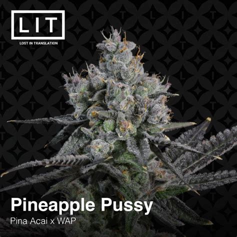 Pineapple Pussy Fem Slg