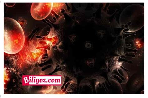 H N Nedir H N Vir S Domuz Gribi Belirtileri