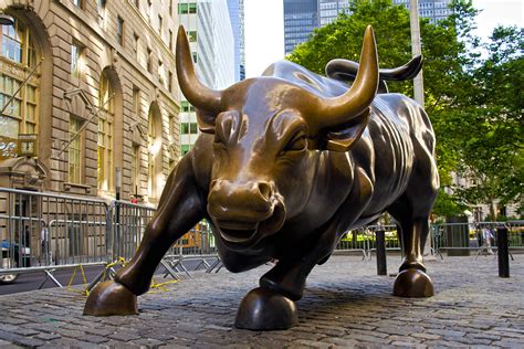 Bear e Bull market o que são Investidor Sardinha