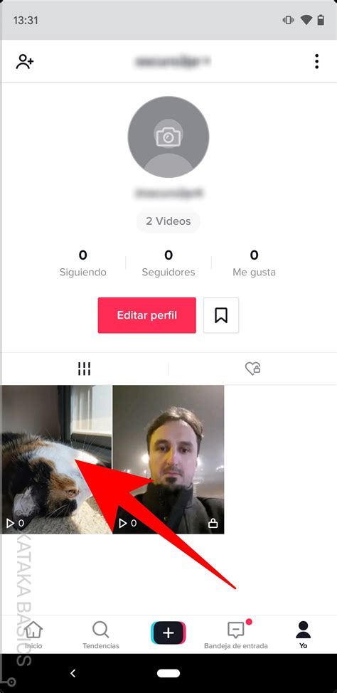Tiktok C Mo Eliminar Sus V Deos Y Archivos