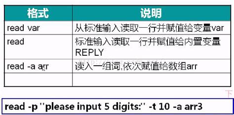 shell 编程基础 语法快速入门 快速入门shell语法 csdn博客