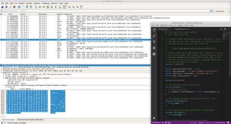 Official Wireshark GRPC Dissector Issue 13586 Grpc Grpc GitHub