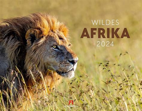 Lions Kalender 2024 Fayth Jennica