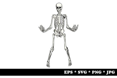 Standing Skeleton Graphic By Norsob Creative Fabrica