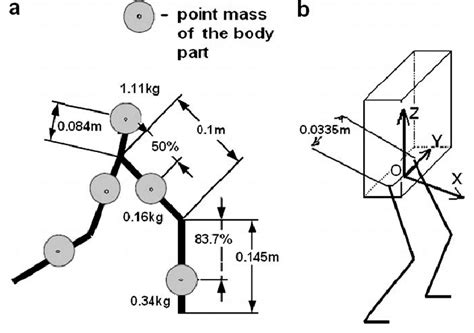 simplified model of the robot download scientific diagram