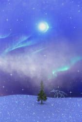 Answe Some Questions And I Ll Give You Your Zodiac Sign Quiz Quotev