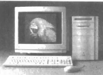 Graphics Monitors And Workstations Codingtube