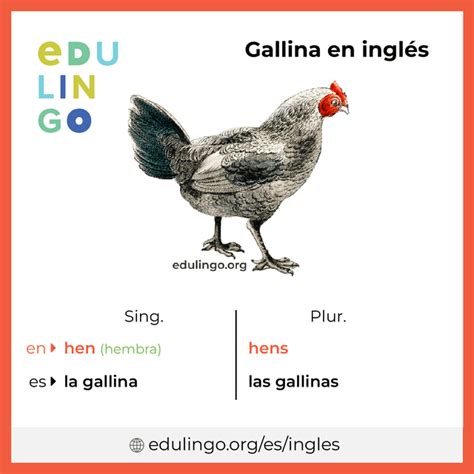 Introducir 74 imagen cómo se escribe pollo en inglés Abzlocal mx
