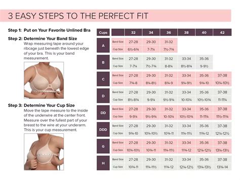 Bra Sizes Chart