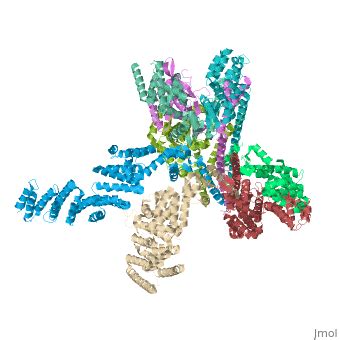 4d10 Proteopedia Life In 3D