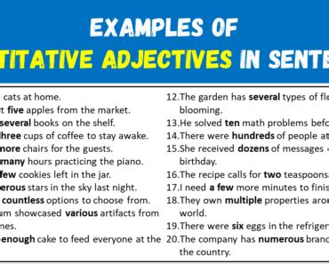 100 Examples Of Quantitative Adjectives In Sentences EngDic
