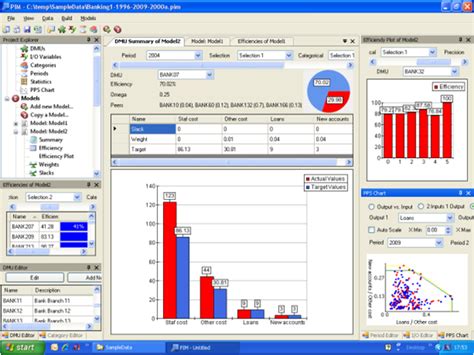 pim deasoft data envelopment analysis software