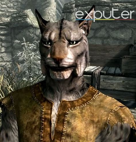The Ultimate Guide To The Best Races In Skyrim EXputer