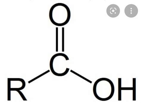 functional groups flashcards quizlet