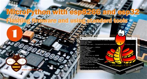 Esp Micropython Firmware