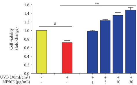 Cell Viability And Inhibition Of Reactive Oxygen Species ROS