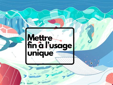 Coton tige réutilisable LastSwab Original Pêche The Naked Shop