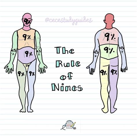 The Rule Of Nines Nursing School Survival Nursing School Notes