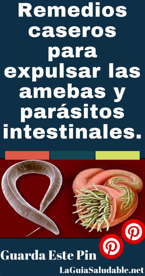Remedios caseros para expulsar las amebas y los parásitos intestinales
